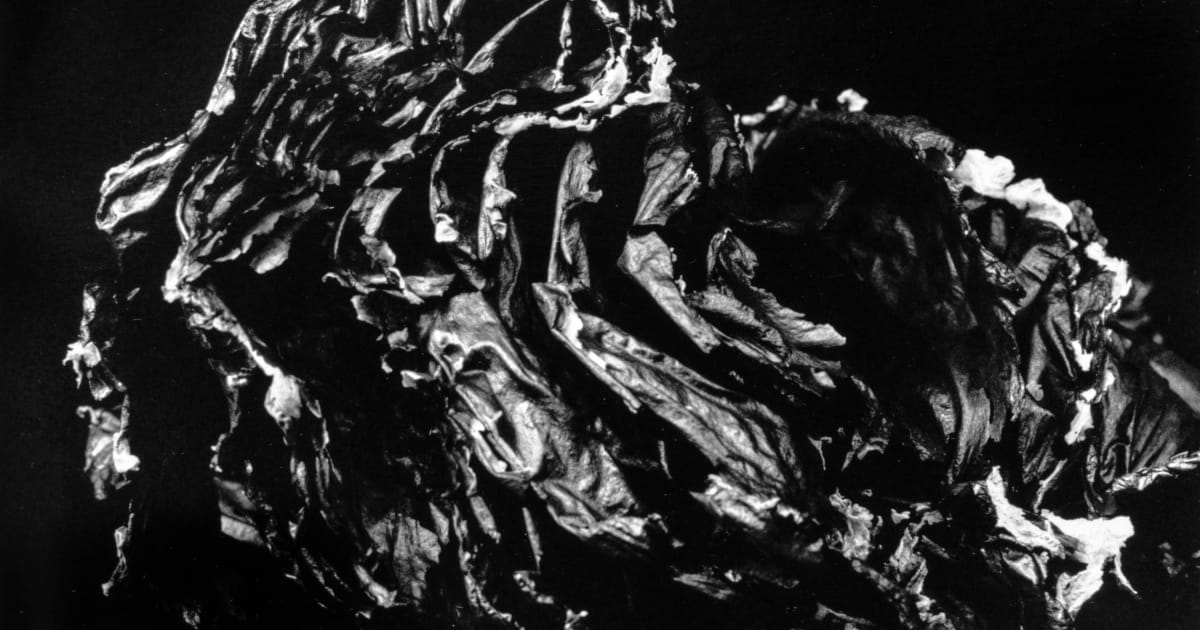 Hitoshi Fugo - Photography Artist | MIYAKO YOSHINAGA | Miyako Yoshinaga
