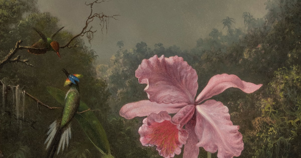 Martin Johnson Heade | Schoelkopf Gallery