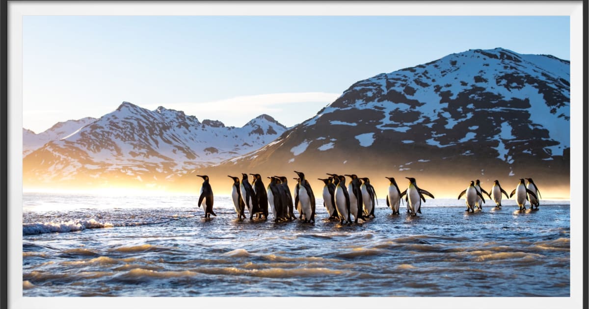 Jonathan Z Lee | NOVA