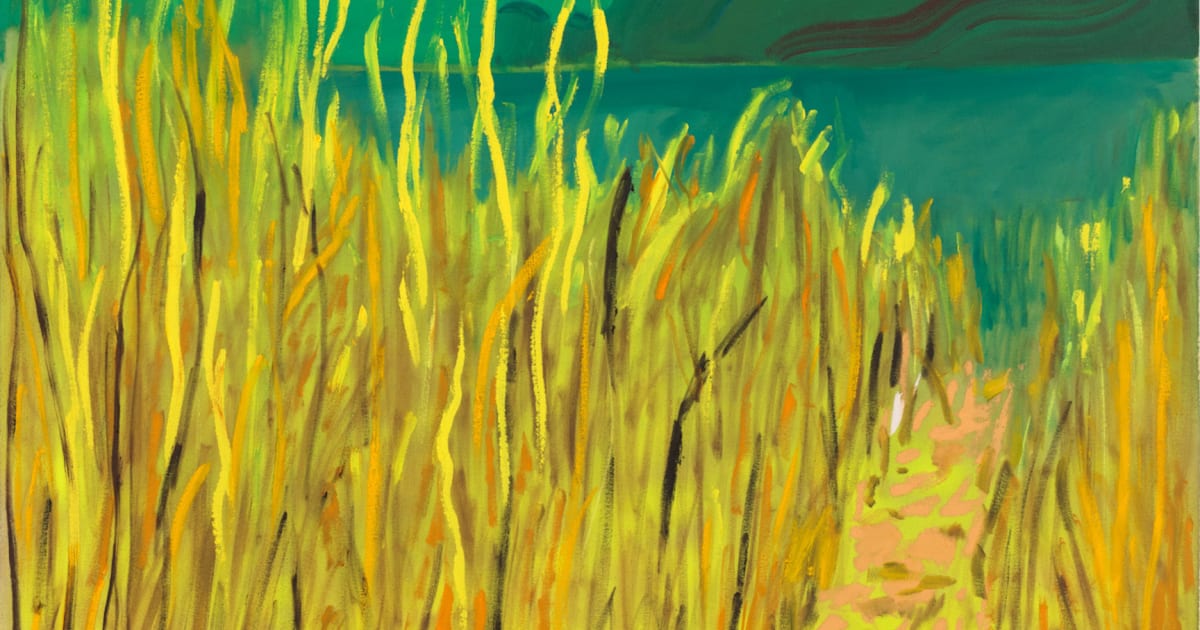 Shara Hughes | Nicola Vassell