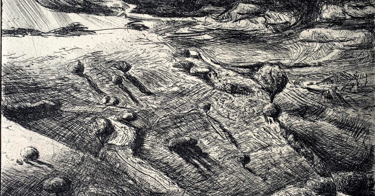 Tom Scotcher | 155A Gallery