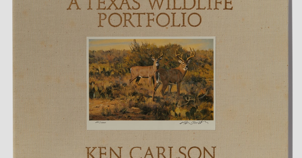 Ken Carlson | The Owings Gallery