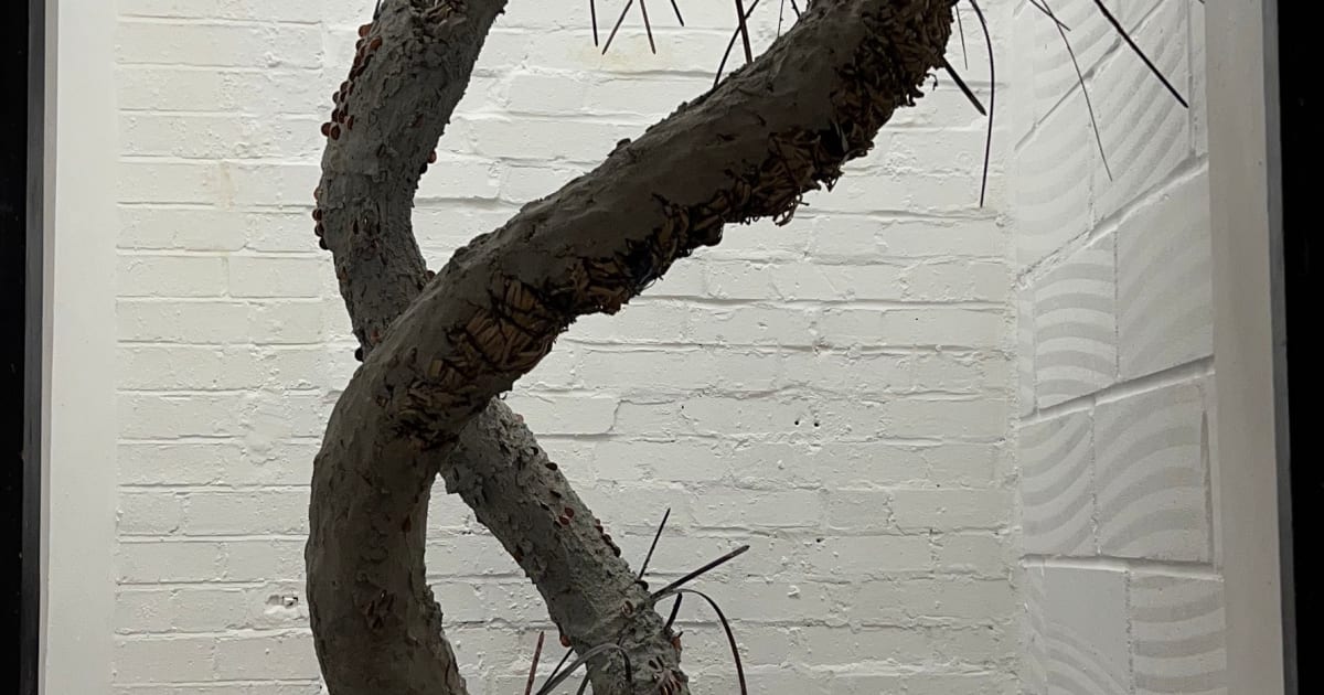 Gusty Ferro - Works | Palmer Gallery