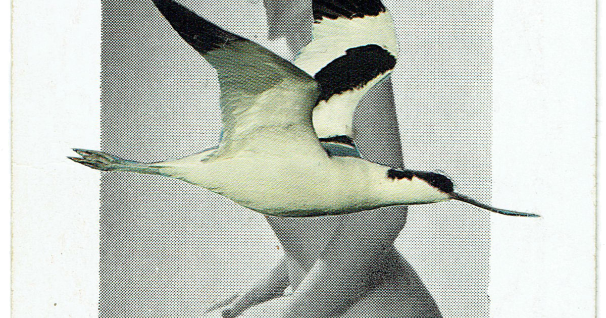 Sarah Hardacre - Works | Paul Stolper