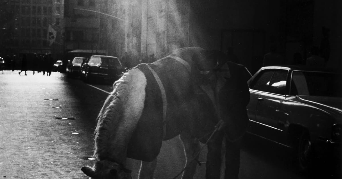 Louis Stettner - Works | Peter Fetterman Gallery