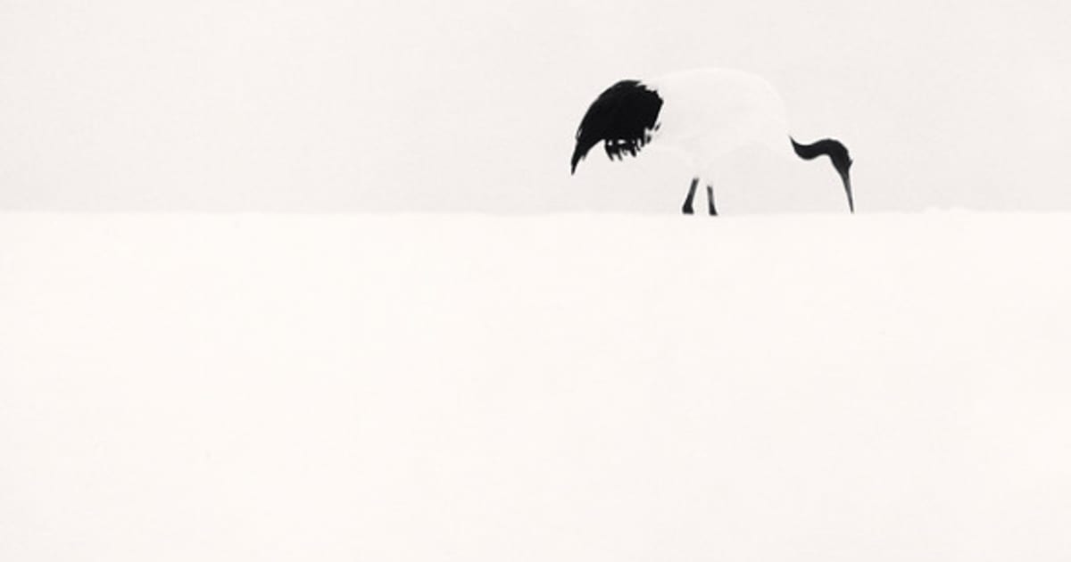 Artworks | Peter Fetterman Gallery