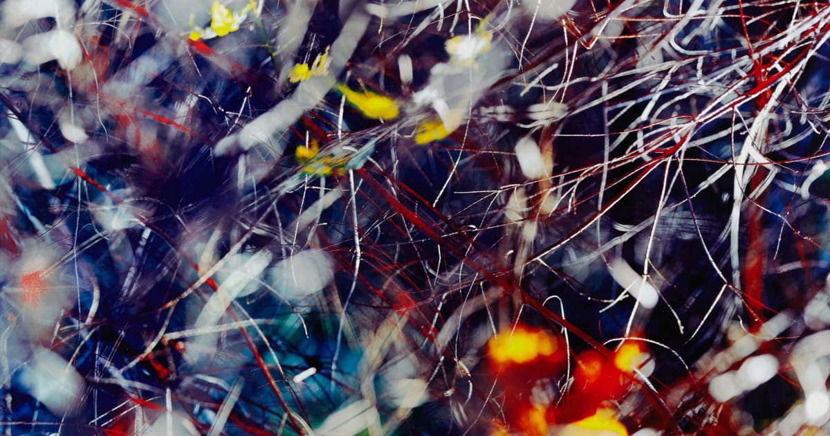 Michael Wesik - Works | Philip Martin Gallery