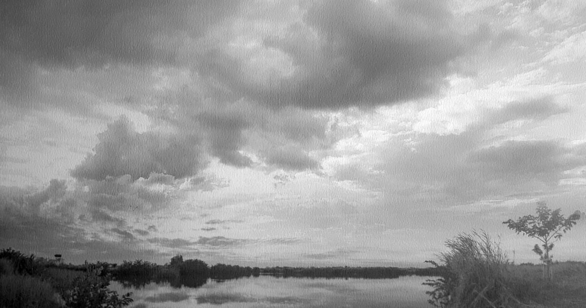 Paul Cadden | Plus One Gallery