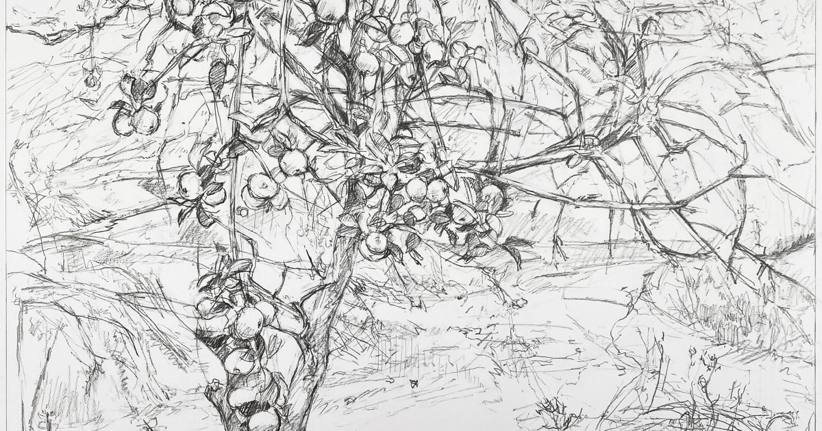 Clive Head | 21 May - 13 June 2021 | Pontone Gallery