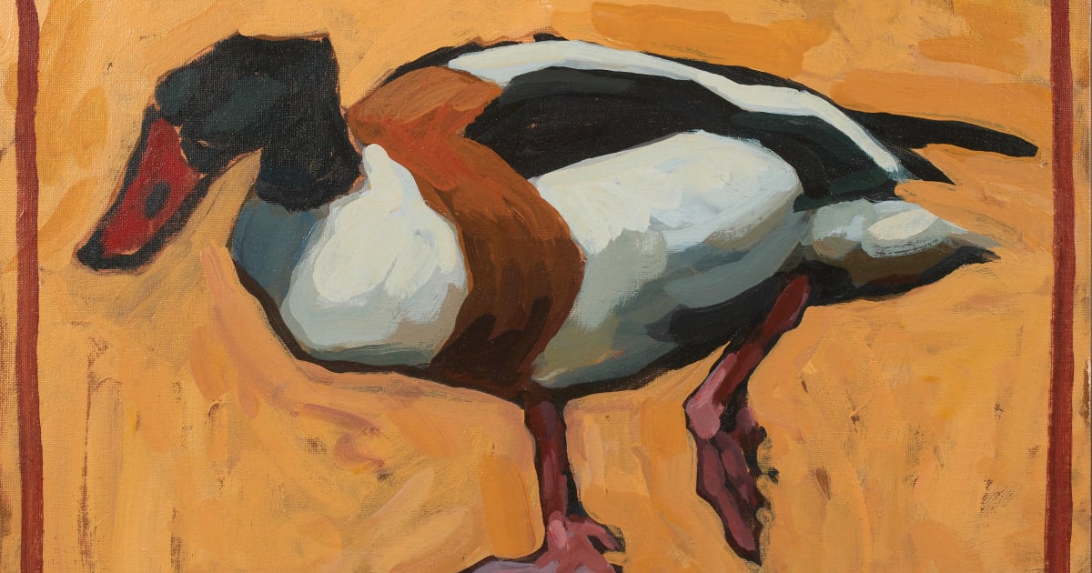 Romy Elliott, Shelduck | Portland Gallery