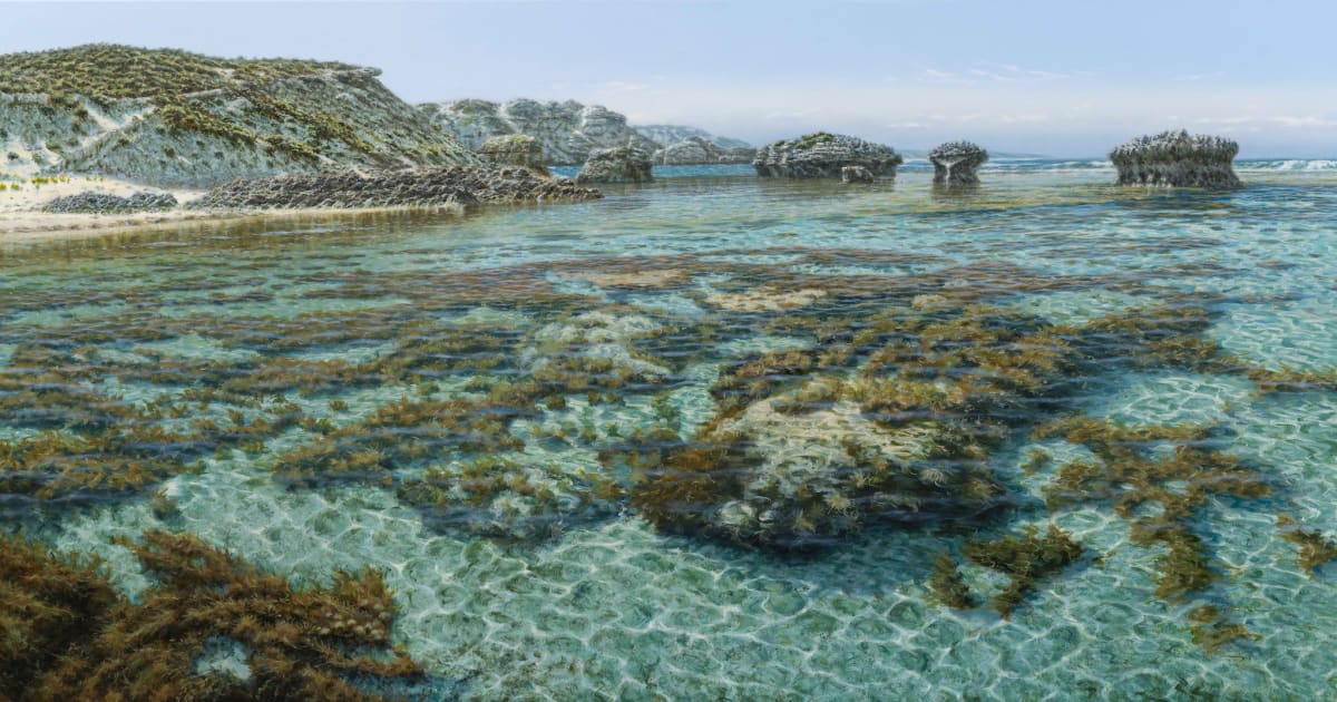 Sam Broadhurst | REDSEA Gallery Margaret River