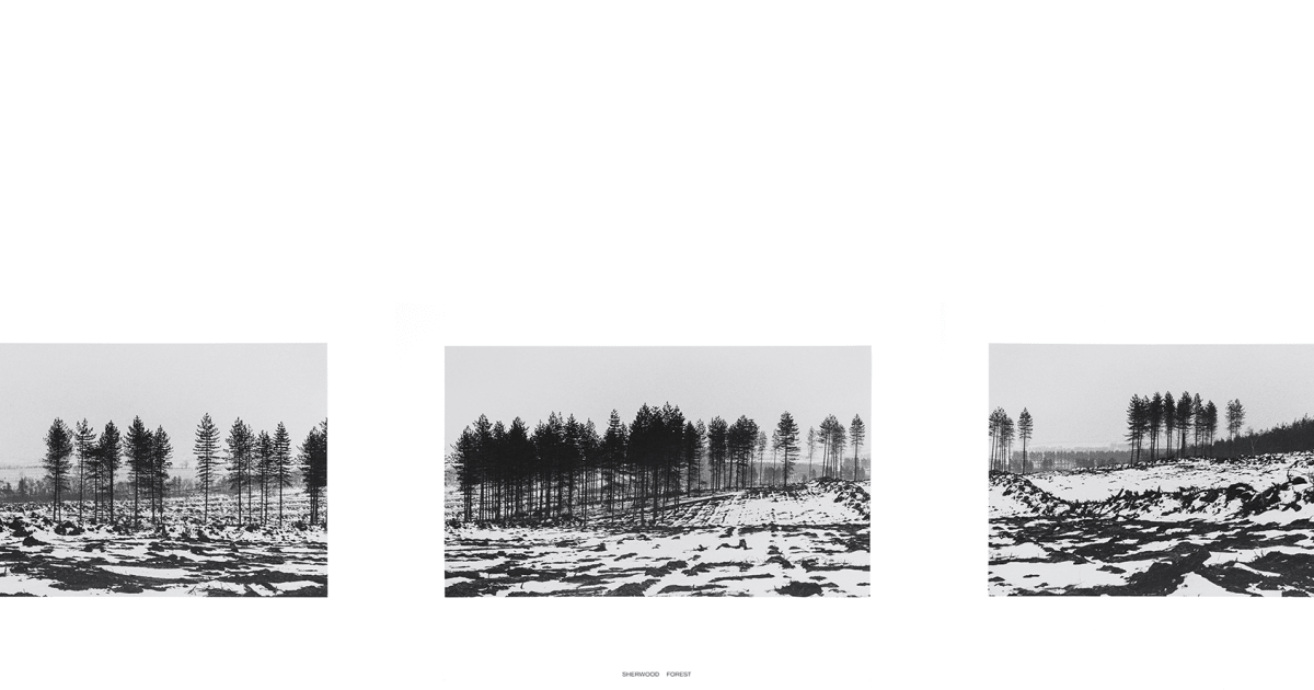 Roger Palmer - Overview | Richard Saltoun