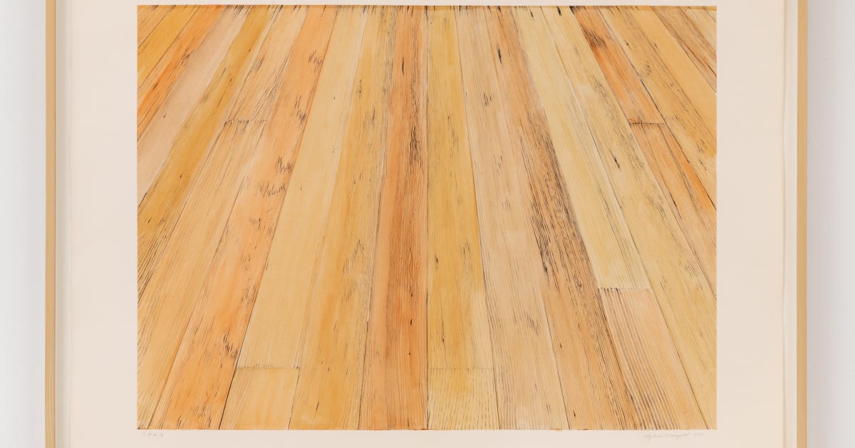 Sylvia Plimack Mangold - Works | Richard Saltoun