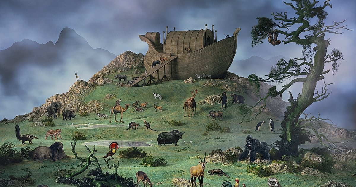 Didier Massard - Works | Robert Klein Gallery