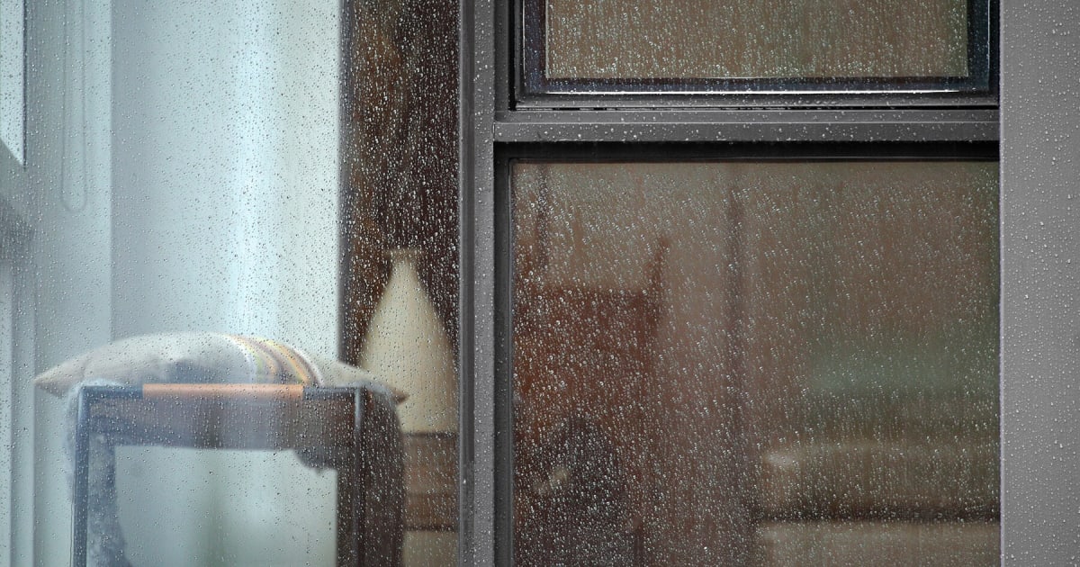 Arne Svenson - Neighbors | Robert Klein Gallery