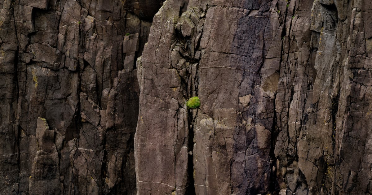 Sally Gall - Series | Robert Klein Gallery