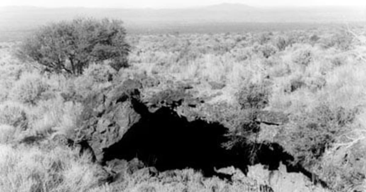 Sally Gall - Series | Robert Klein Gallery