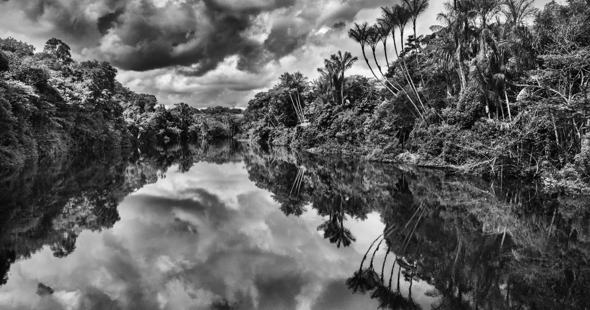 Sebastião Salgado - Series | Robert Klein Gallery