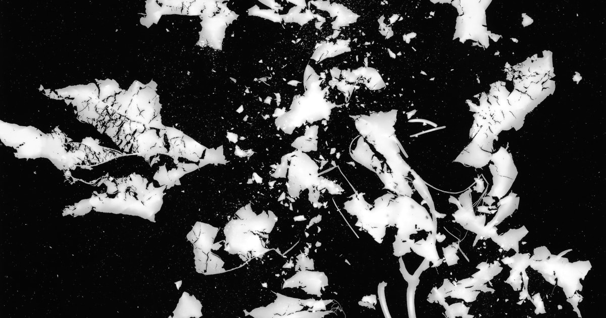 Gohar Dashti, Still Life #6, 2017 | Robert Klein Gallery