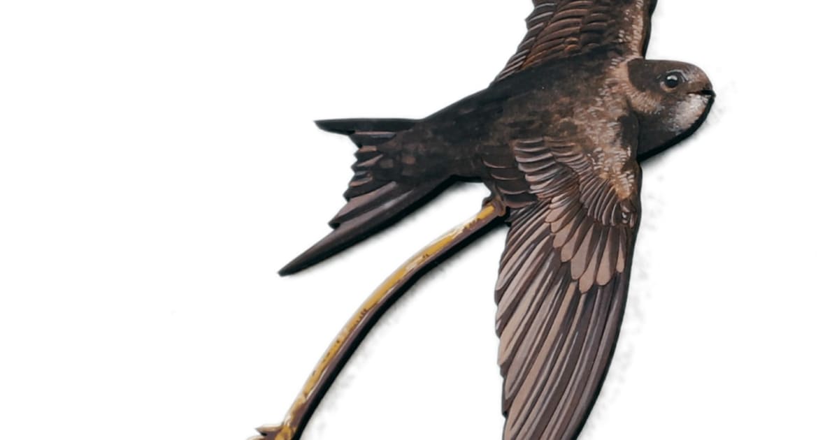 Fionnlagh Skinner - Overview | Royal Scottish Academy