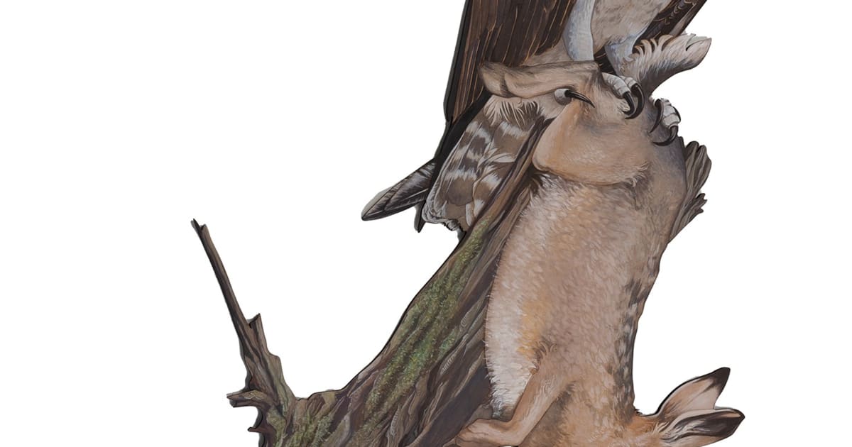 Fionnlagh Skinner - Works | Royal Scottish Academy