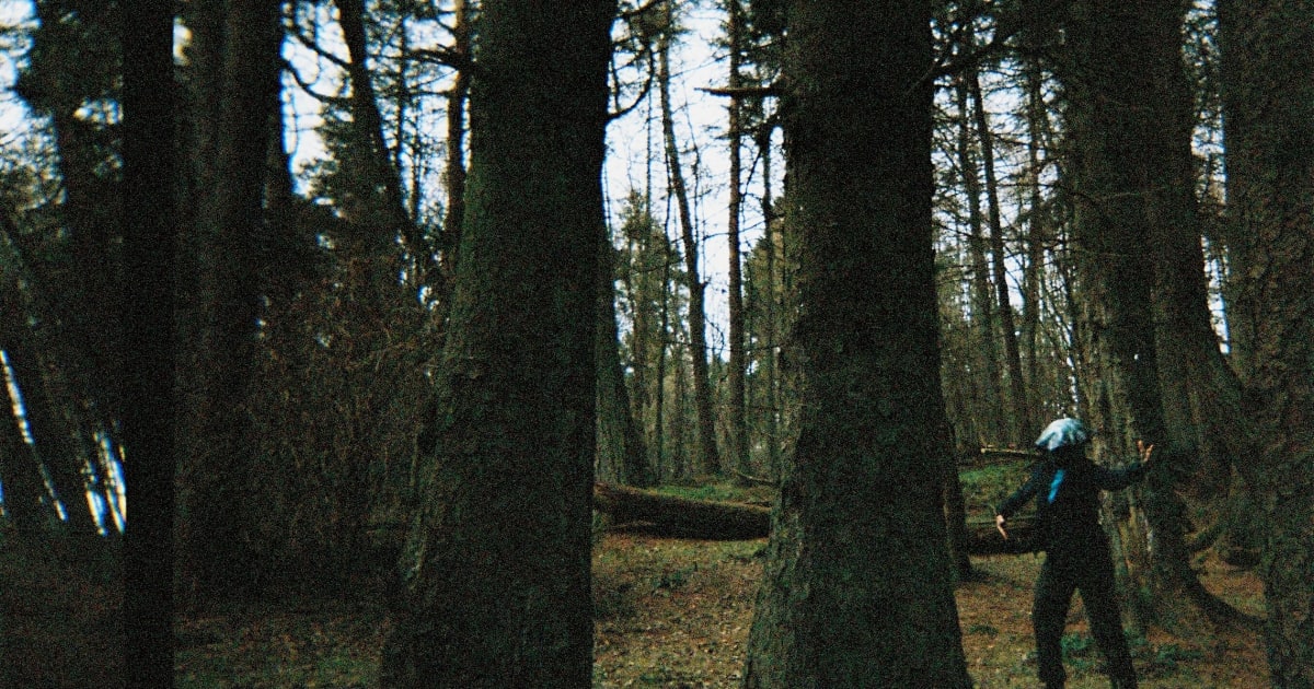 Amanda Cathy | Royal Scottish Academy