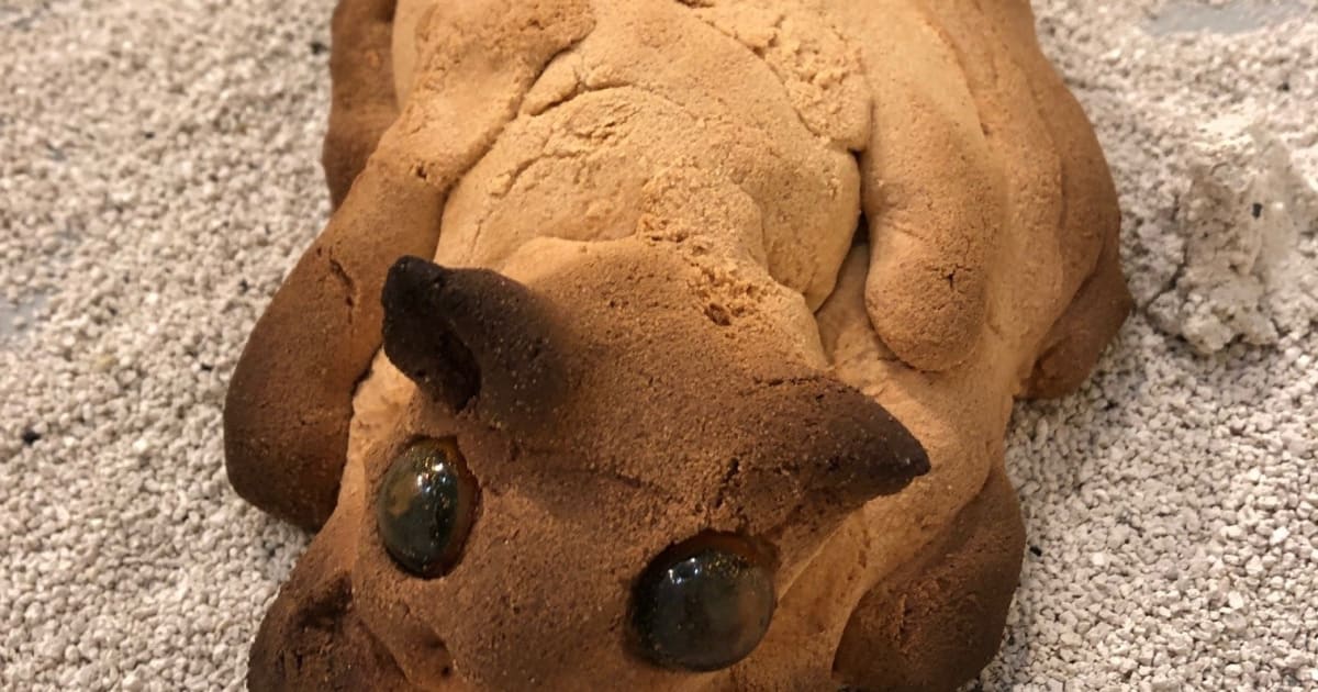 Jasmine Forbes - Overview | Royal Scottish Academy