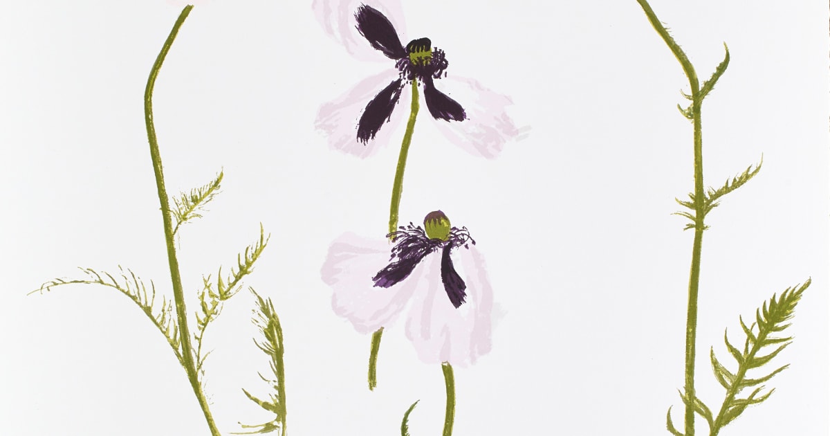 Elizabeth Blackadder and John Houston | Royal Scottish Academy