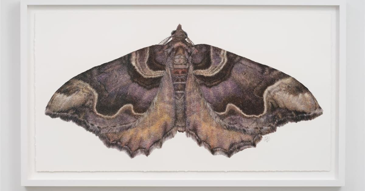 LIAM GERRARDUnfulrling | 29 August - 24 September 2023 - Overview ...