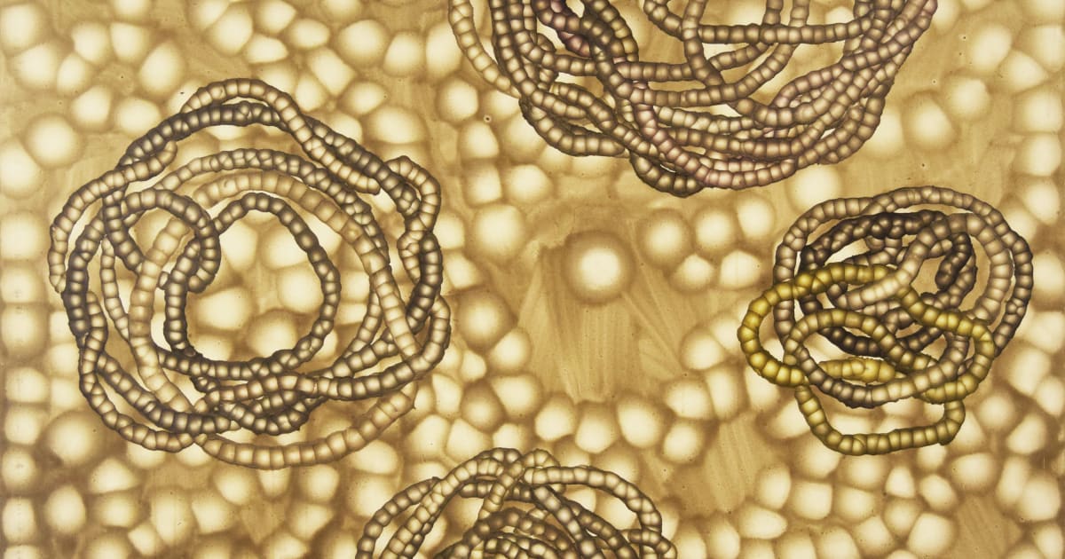 Ross Bleckner | Serge Sorokko Gallery