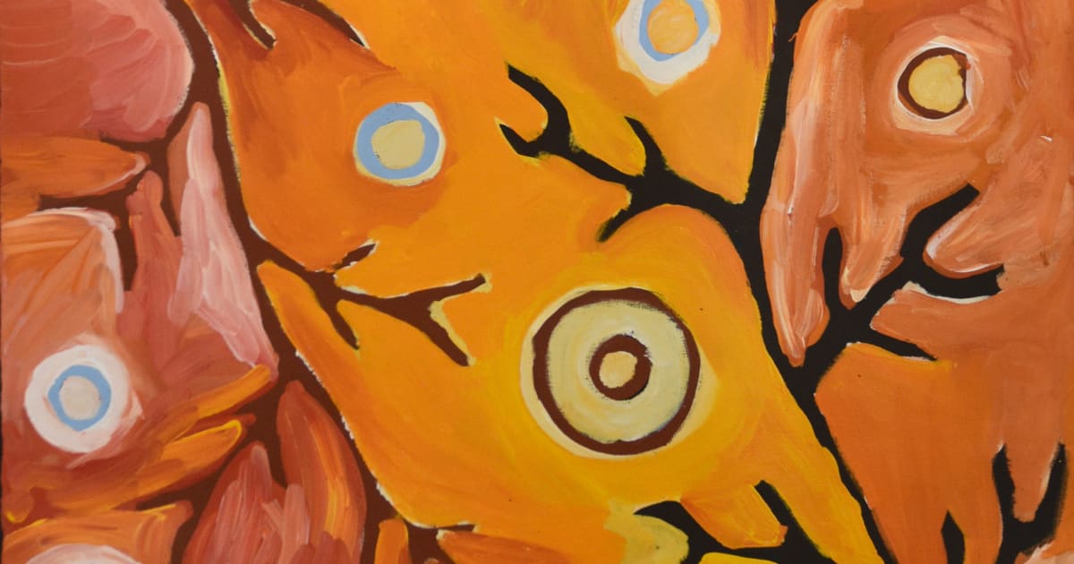 Spotlight on Bush Plants & Medicine | Short St Gallery