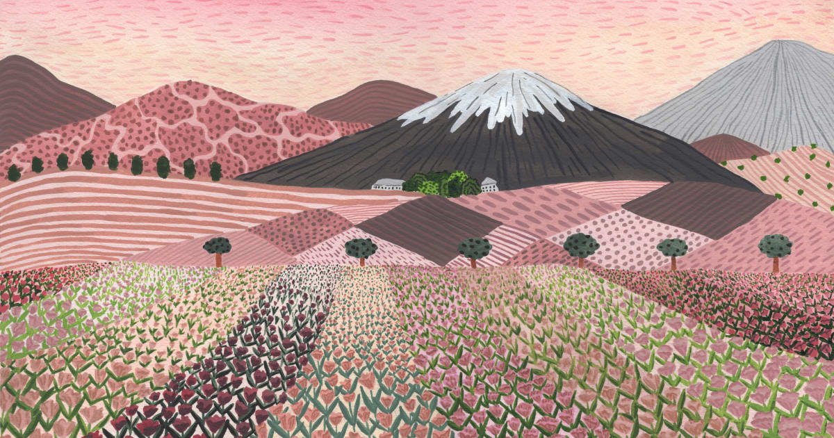 Sara Boccaccini Meadows, Tulip Fields, 2023 | Simard Bilodeau Contemporary