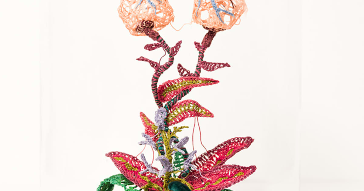 Caitlin McCormack | Harman Projects