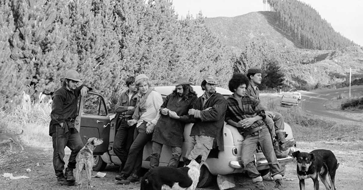 {Suite} Aotearoa Art Fair 2025 | Ans Westra | Stand G32 | 3 - 4 May ...