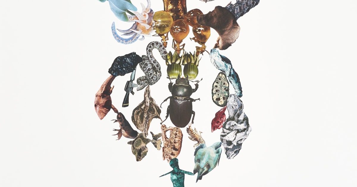 Apnavi Makanji - Works | TARQ