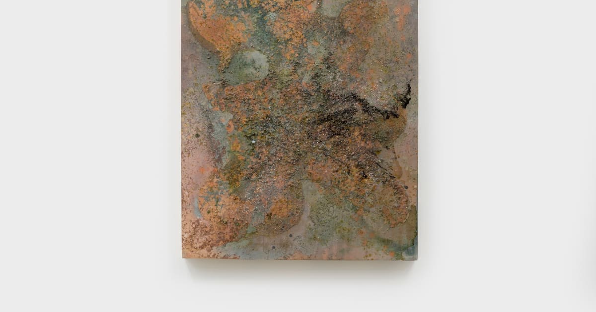 Portfolio | T. Calderon