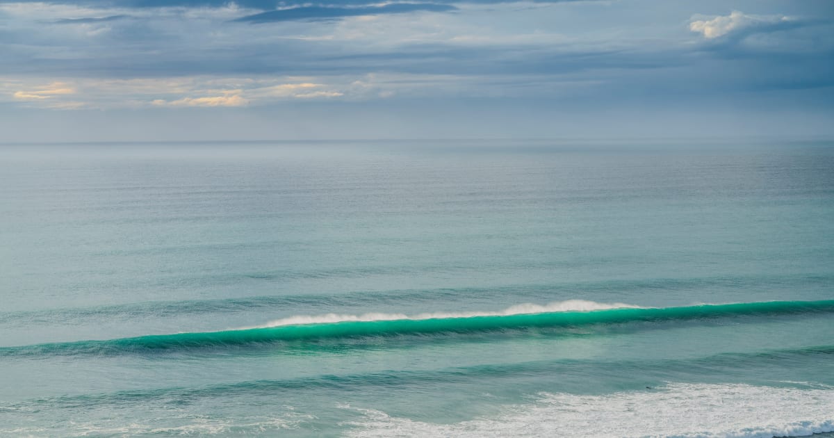 Alexander Sutton - Works | The Drang Gallery