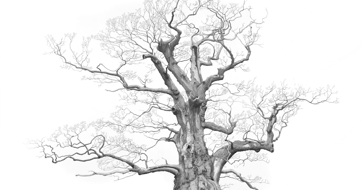 Mark Frith - Works | The Tree Art Gallery