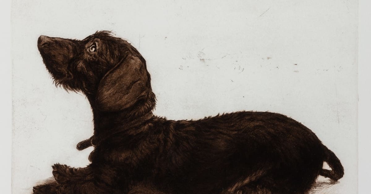 Helen Fay | Thompson's Gallery