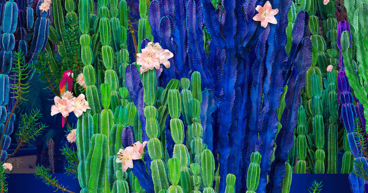 Nadia Attura - Works | Turner Art Perspective Art Gallery Essex