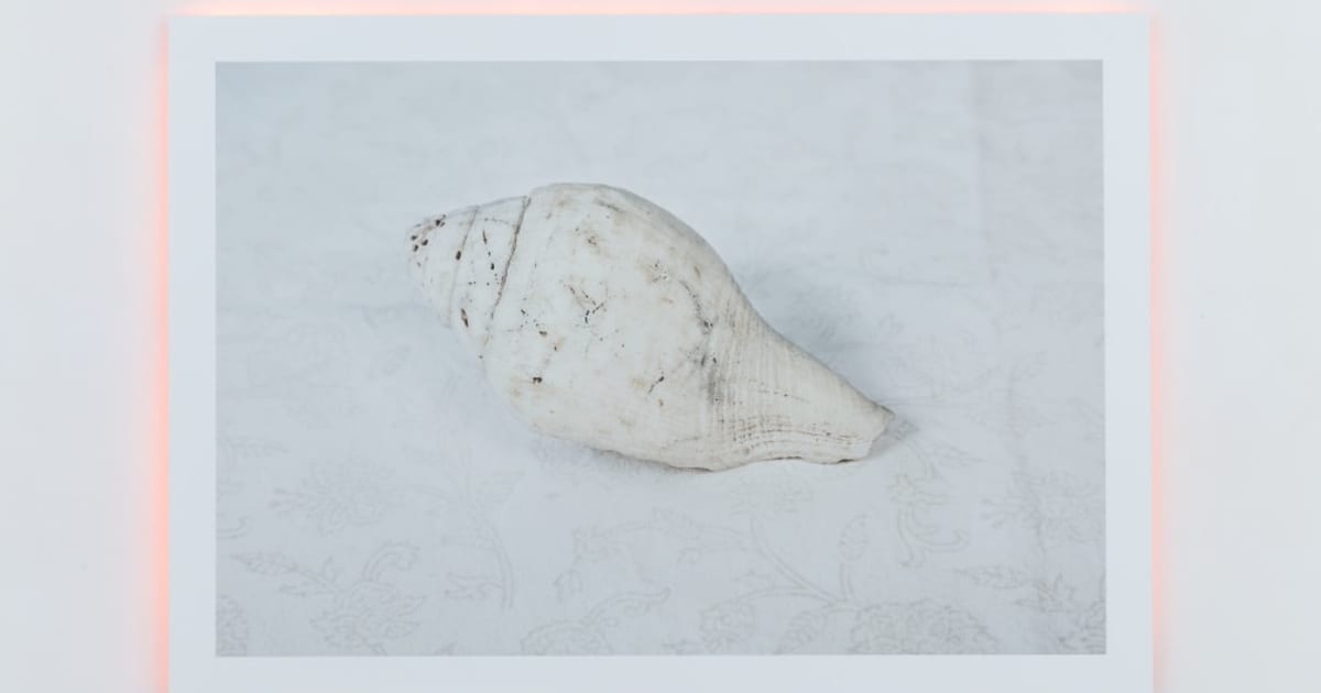 Atul Bhalla | Vadehra Art Gallery