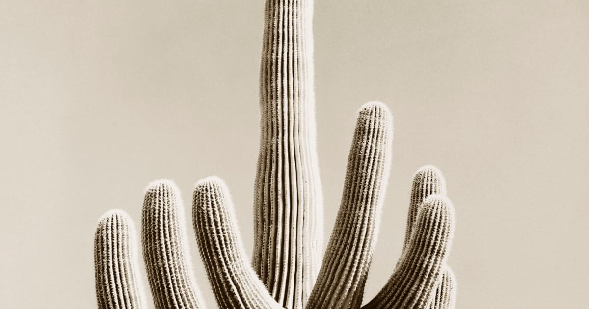 Stuart Redler - Works | WSJ Gallery