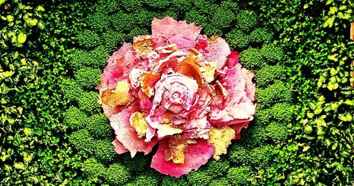 MATTEO NEGRI | SPLENDIDA VILLA CON GIARDINO, VISTE INCANTEVOLI Video ...