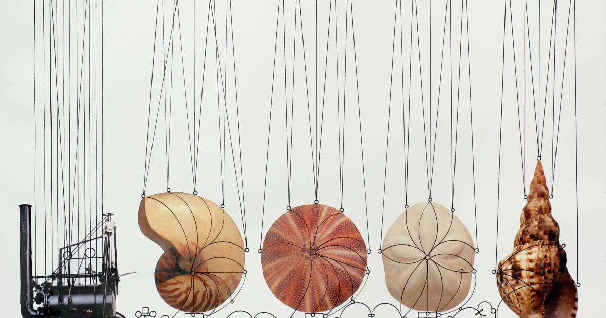 The life of meanings - Overview | Pan American Art Projects