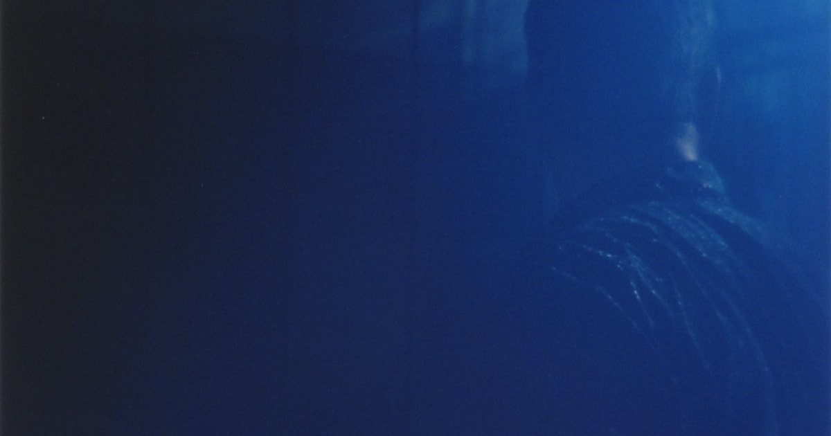 Amy Blakemore - Exhibitions | Inman Gallery