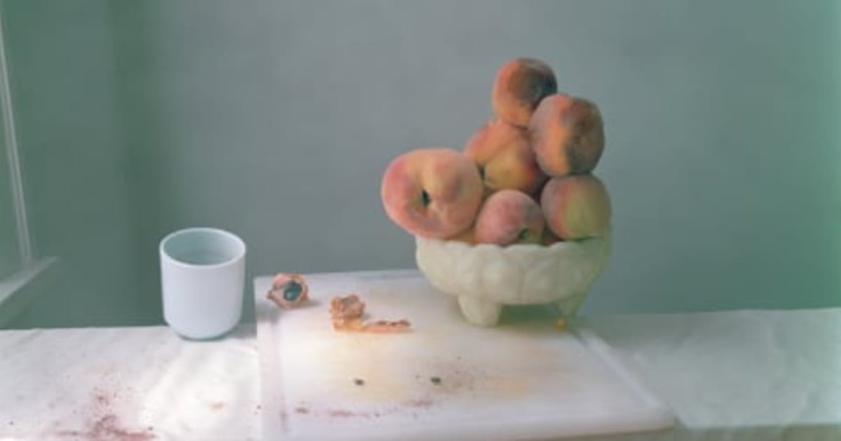 Works - Laura Letinsky: I Did Not Remember I Had Forgotten | moniquemeloche