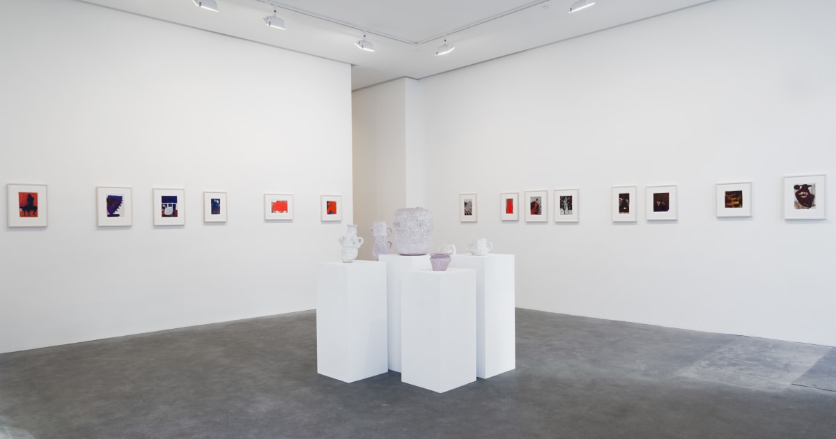 Works - BEVERLY SEMMES | Susan Inglett Gallery