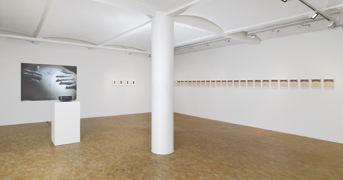 Mary Kelly - Overview | Pippy Houldsworth Gallery