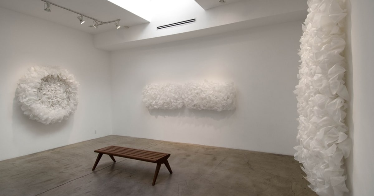 Steve Schmidt | Mar 16 - Apr 27, 2013 | Edward Cella Art & Architecture