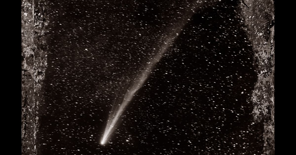 Linda Connor | Haines Gallery